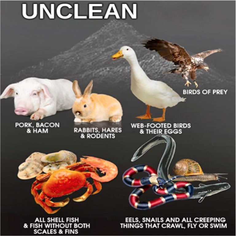 THE LAW OF CLEAN AND UNCLEAN CREATURES – Scripture Truth Ministries